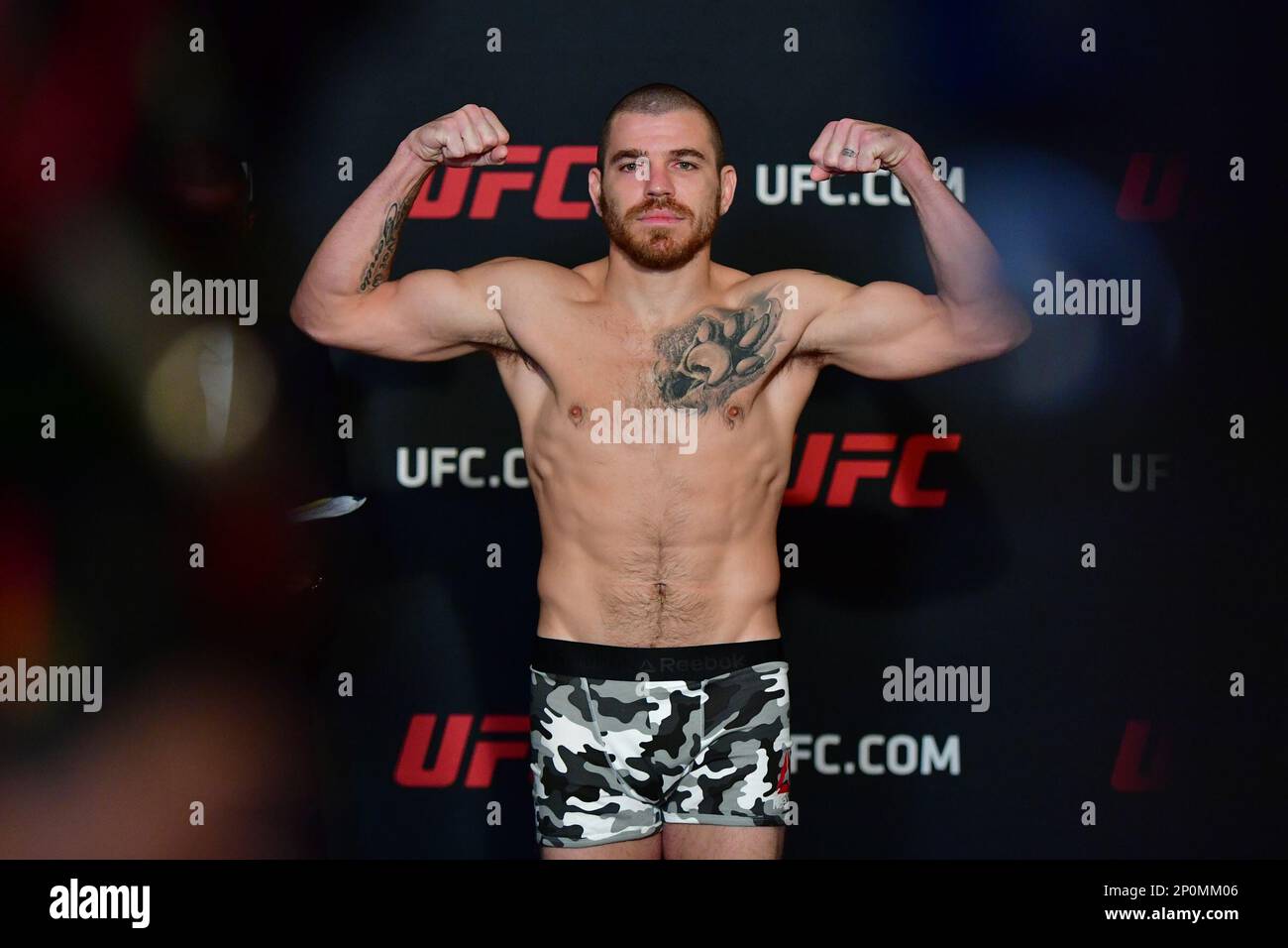 New York - NY - USA - 11/11/2016 - UFC 205 - Lutadores do UFC durante a ...