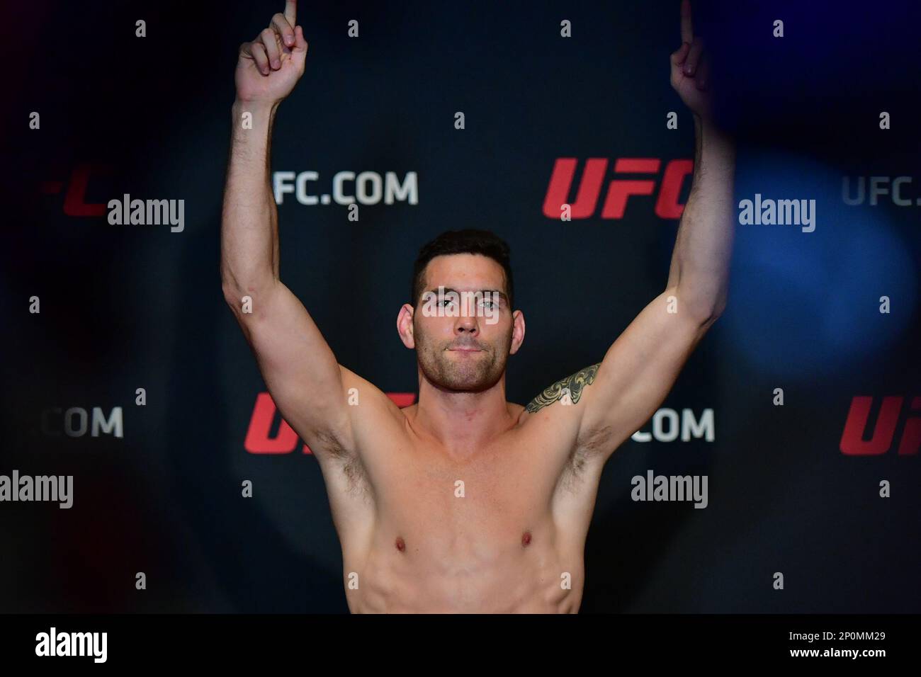 New York - NY - USA - 11/11/2016 - UFC 205 - Lutadores do UFC durante a ...
