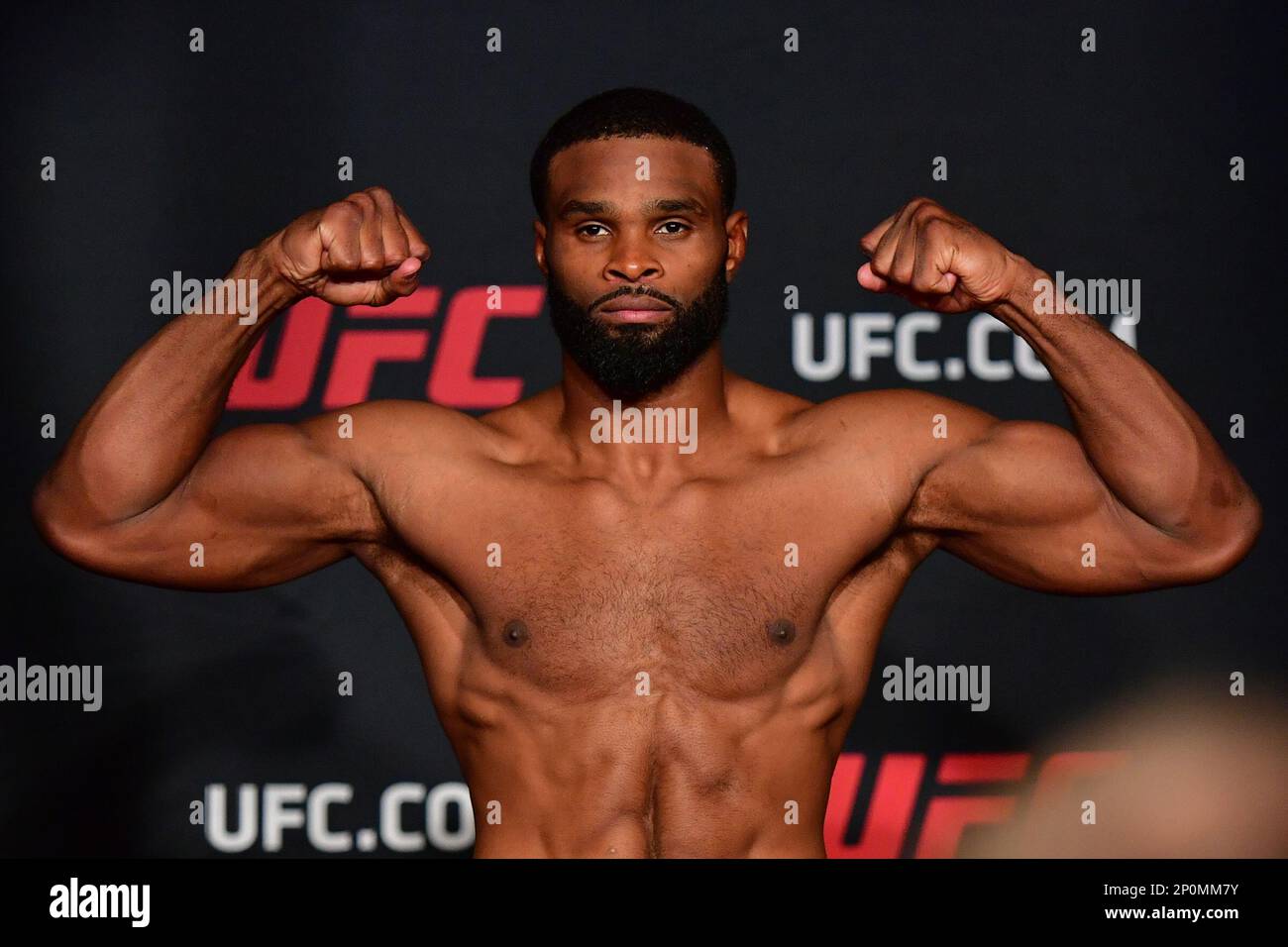 New York - NY - USA - 11/11/2016 - UFC 205 - Lutadores do UFC durante a ...