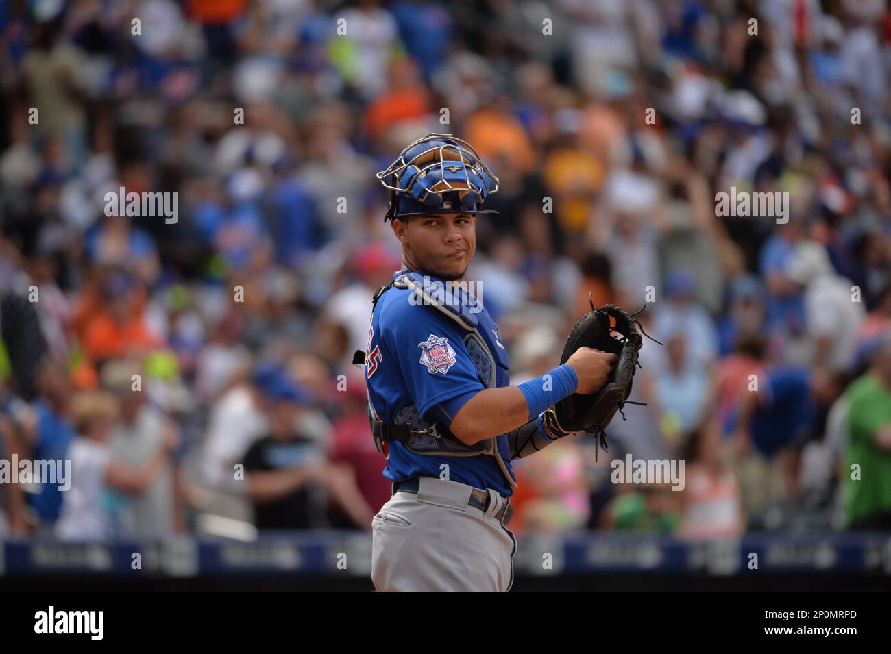 Chicago Cubs catcher Wilson Contreras (40) during game against the New ...