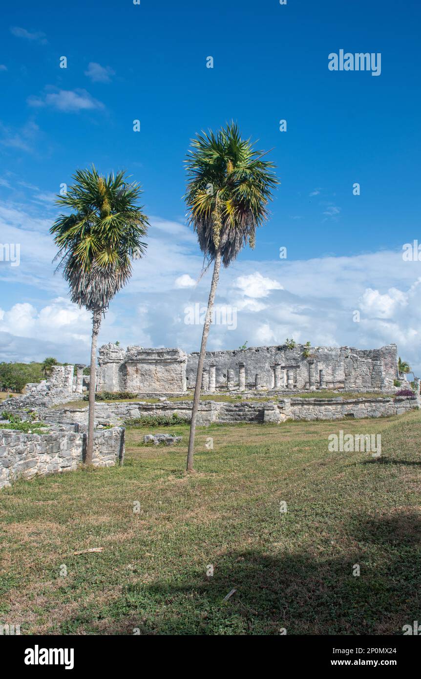 Mayan Temple at Tulum Mexico with palm trees in foreground Stock Photo ...
