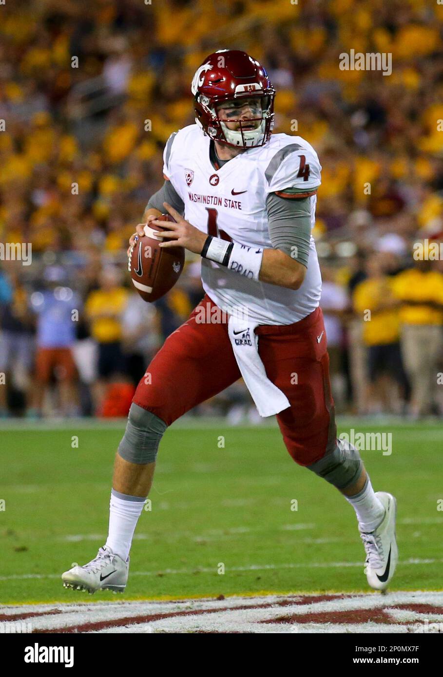 22 October 2016: Washington State Cougars quarterback Luke Falk (4 ...