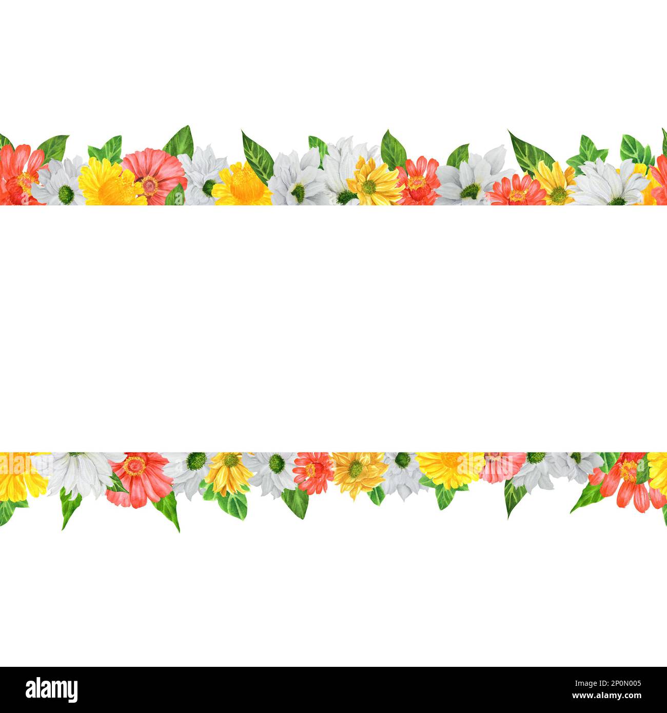 Hand-drawn watercolor borders with garden flowers: zinnia and ...