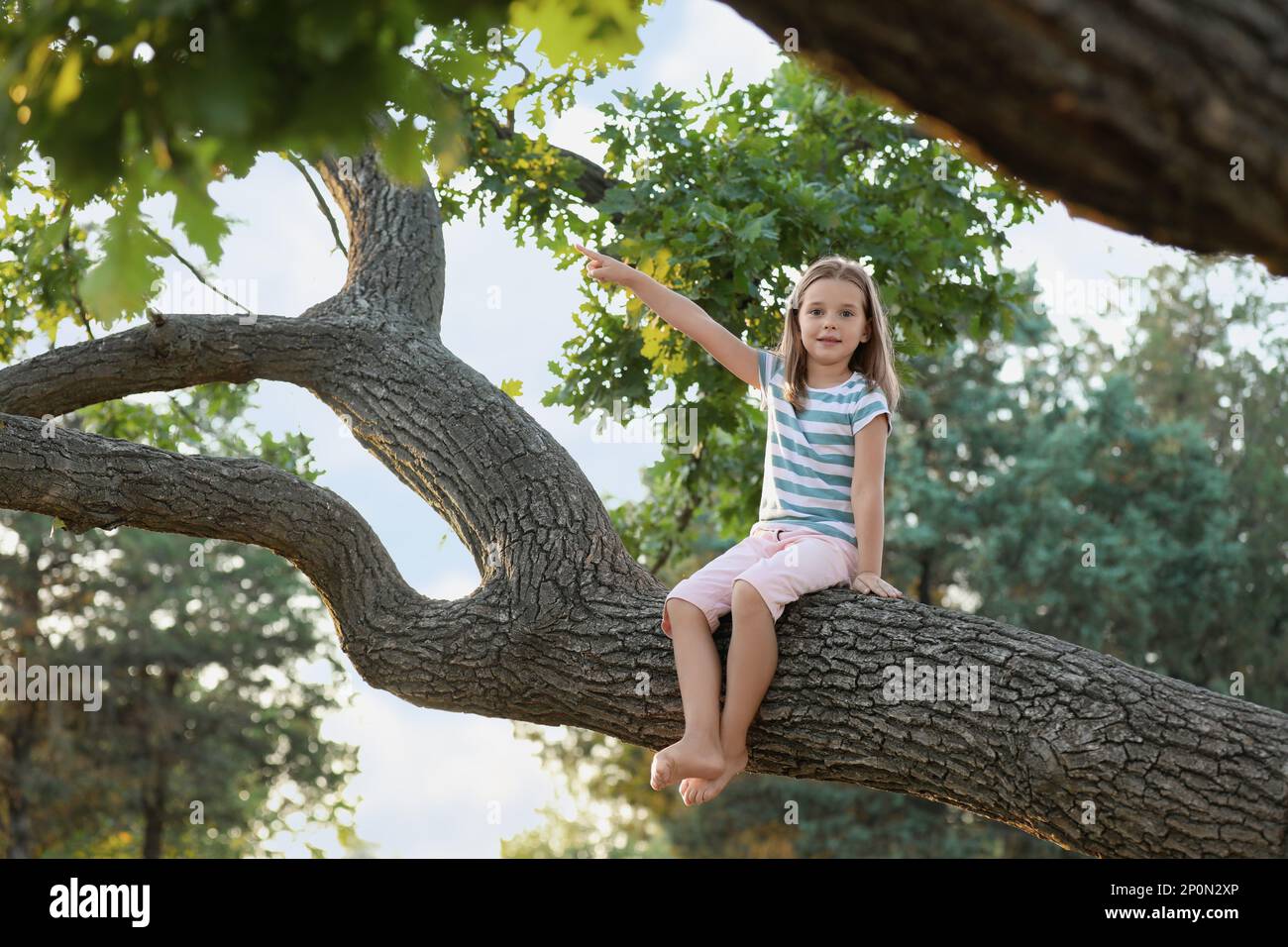Cute little girl sitting on tree outdoors. Child spending time in ...