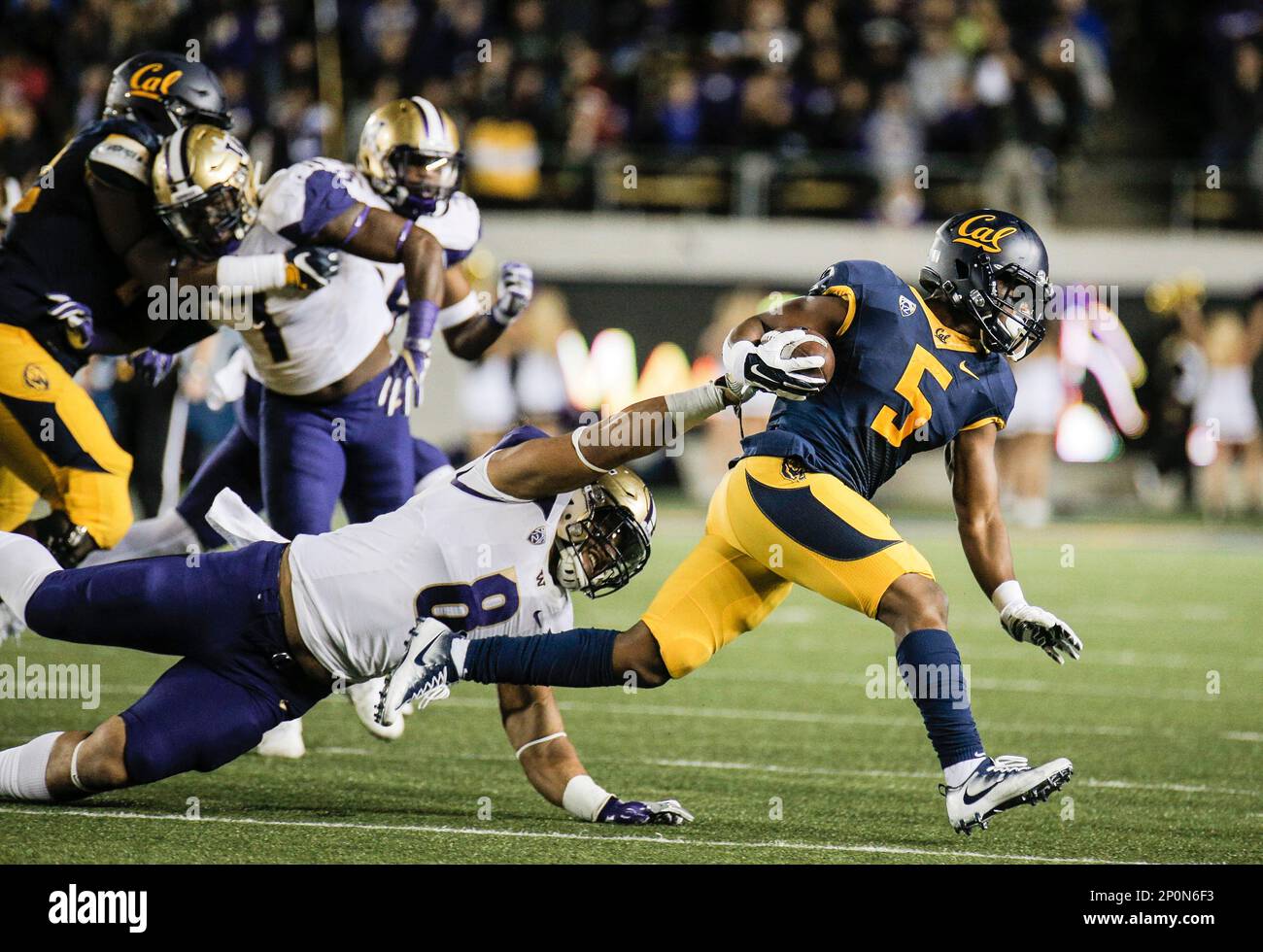 Benning potoae hi-res stock photography and images - Alamy