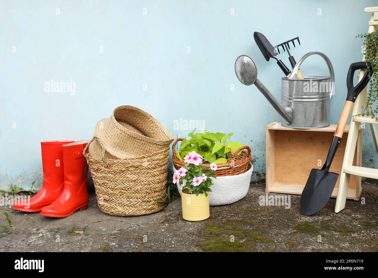Beautiful plants, gardening tools and accessories near shed outdoors ...