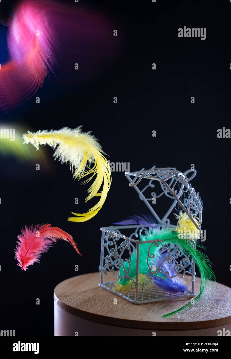 open bird's cage and bright feather around on black background. Bird ...