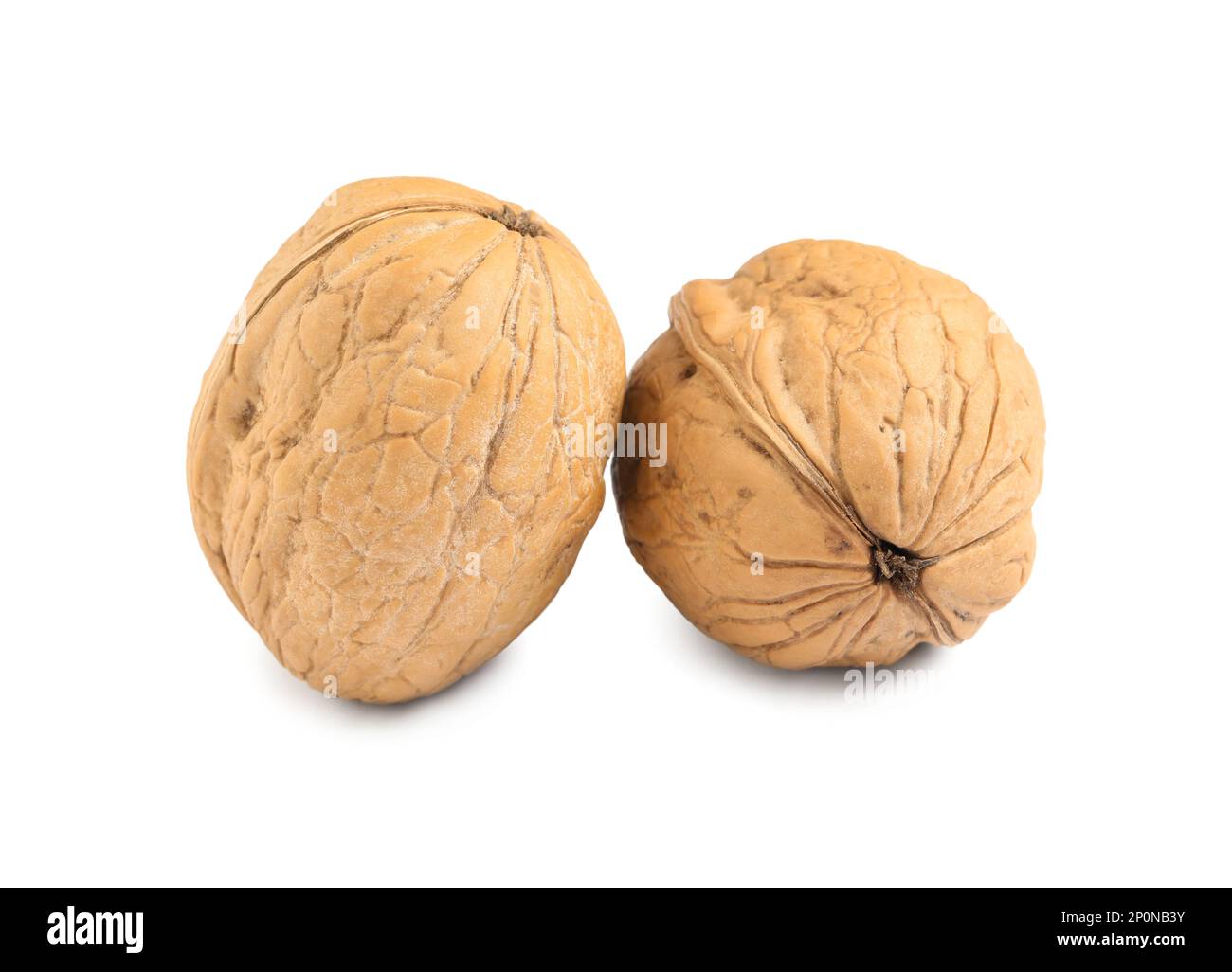 Walnuts in shell hi-res stock photography and images - Alamy