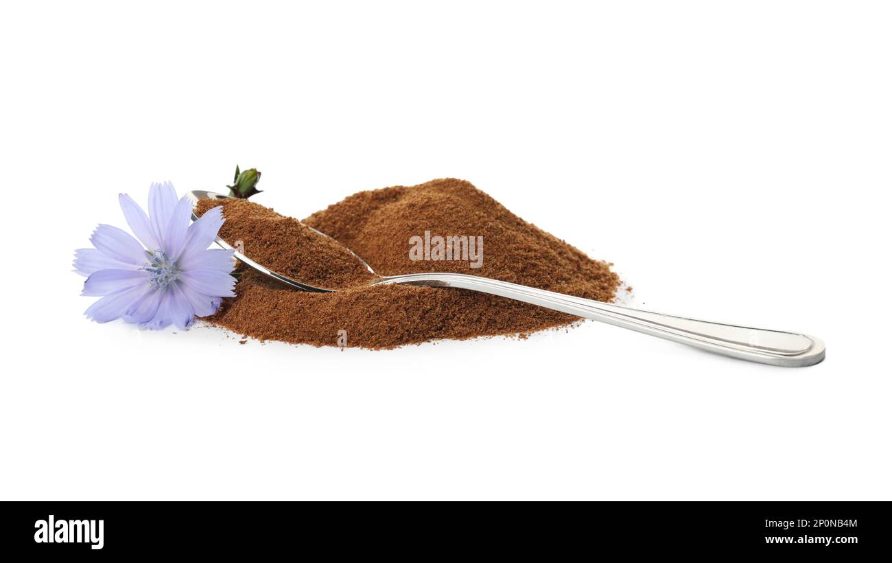 Spoon, chicory powder and flower on white background Stock Photo - Alamy