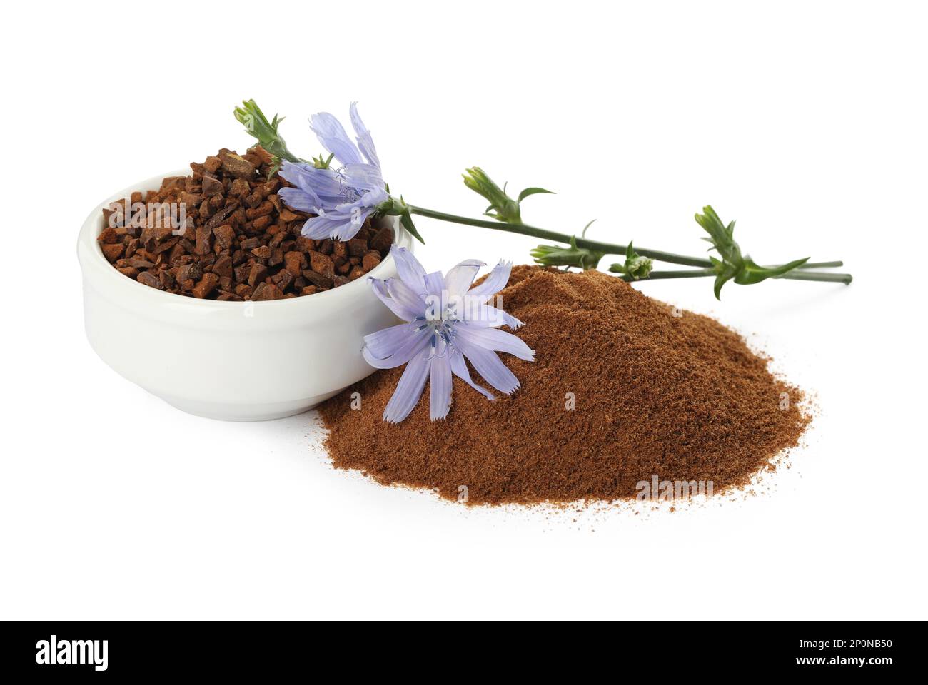 Chicory granules, powder and flowers on white background Stock Photo ...