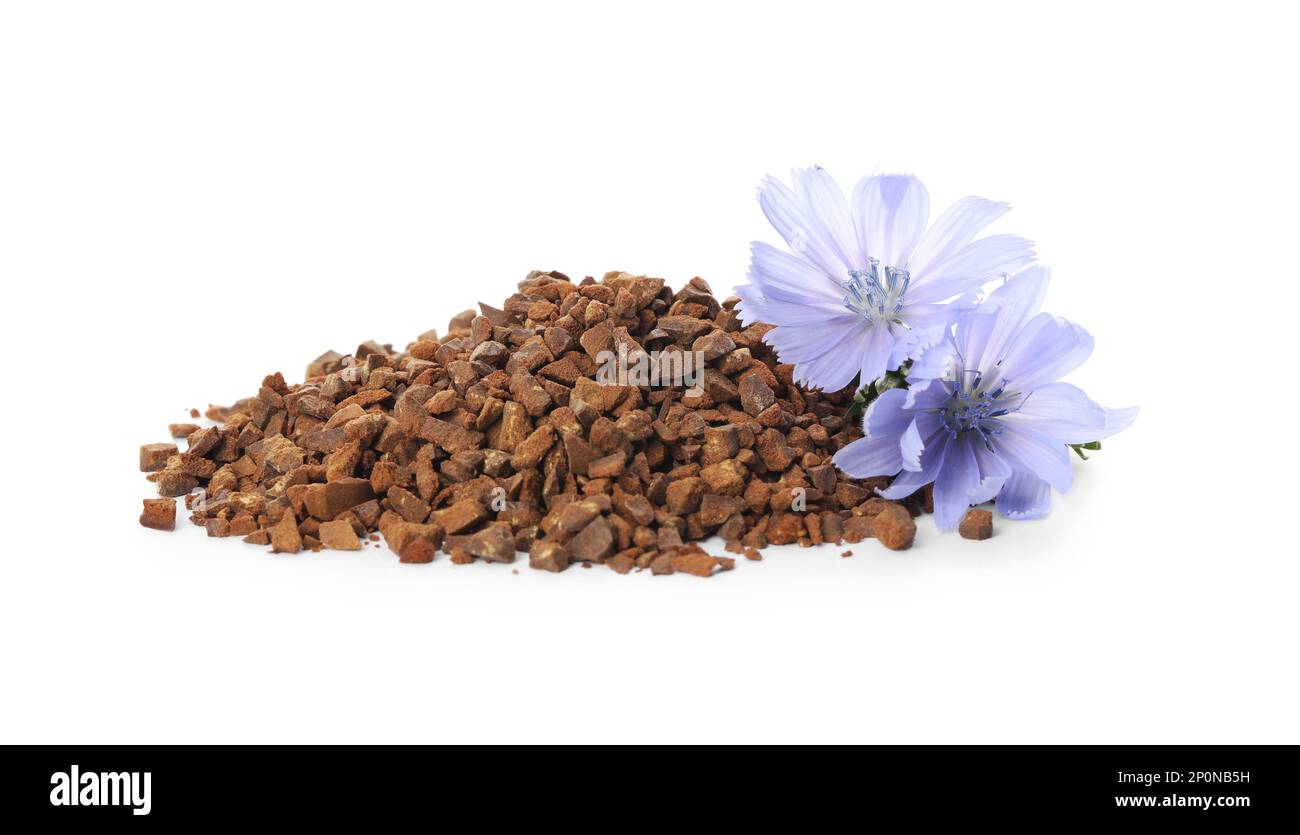 Pile of chicory granules and flowers on white background Stock Photo ...
