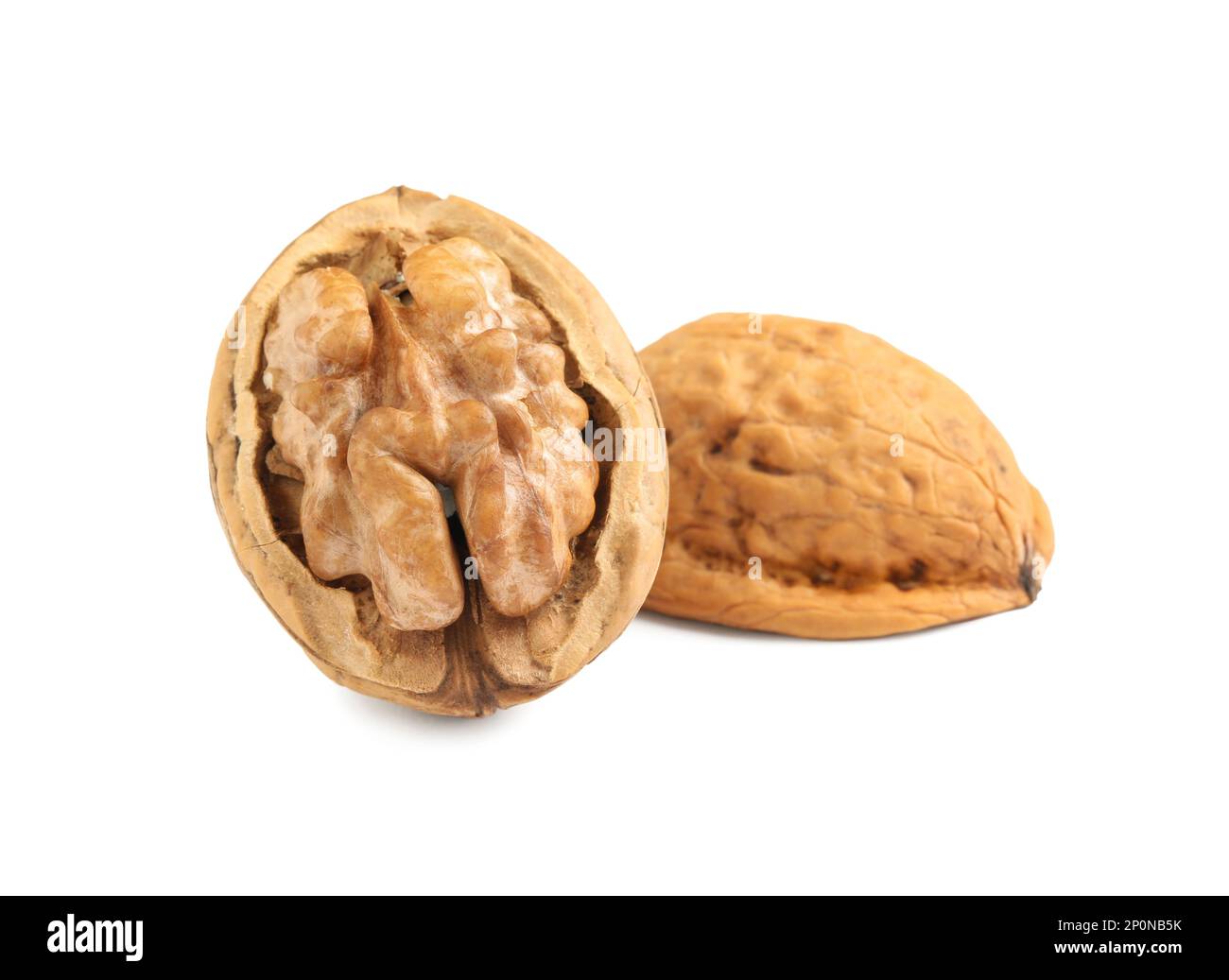 Fresh ripe walnuts in shell on white background Stock Photo - Alamy