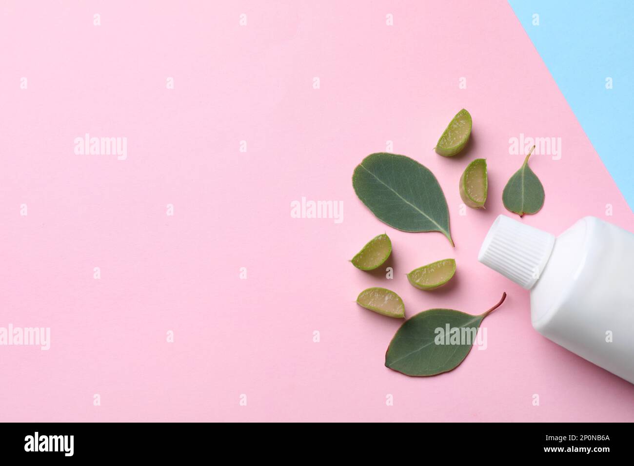 Blank tube of toothpaste with eucalyptus leaves and aloe on color ...