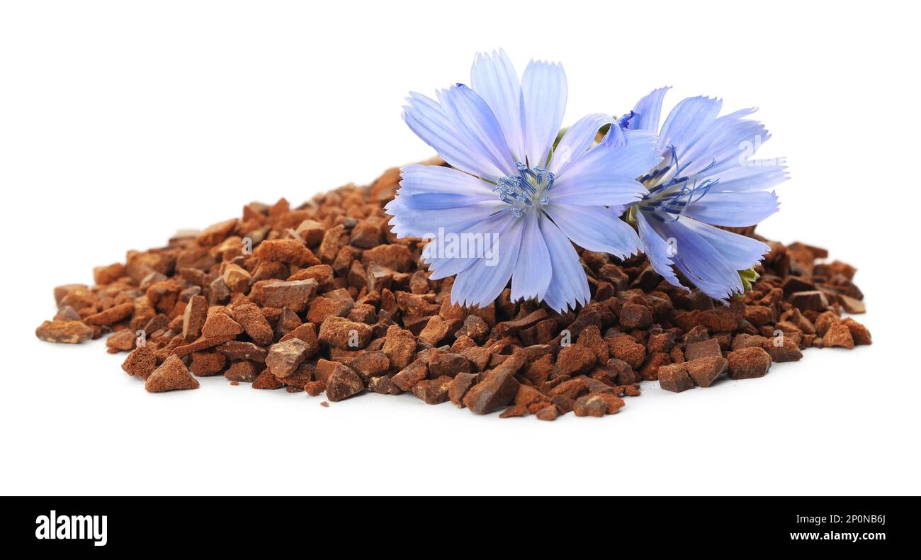Pile of chicory granules and flowers on white background Stock Photo ...