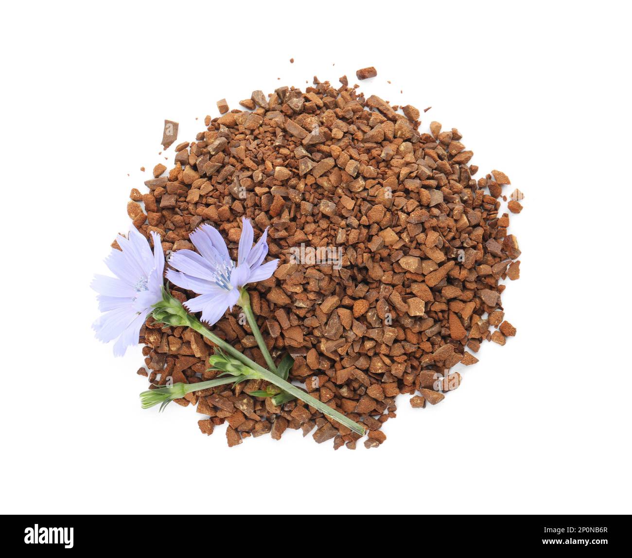 Pile of chicory granules and flowers on white background, top view ...