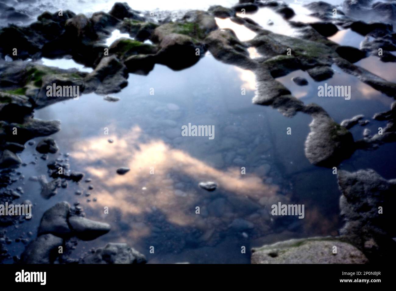 New, Age-defying, digital age, premium, eye-catching, stand-out, high ...