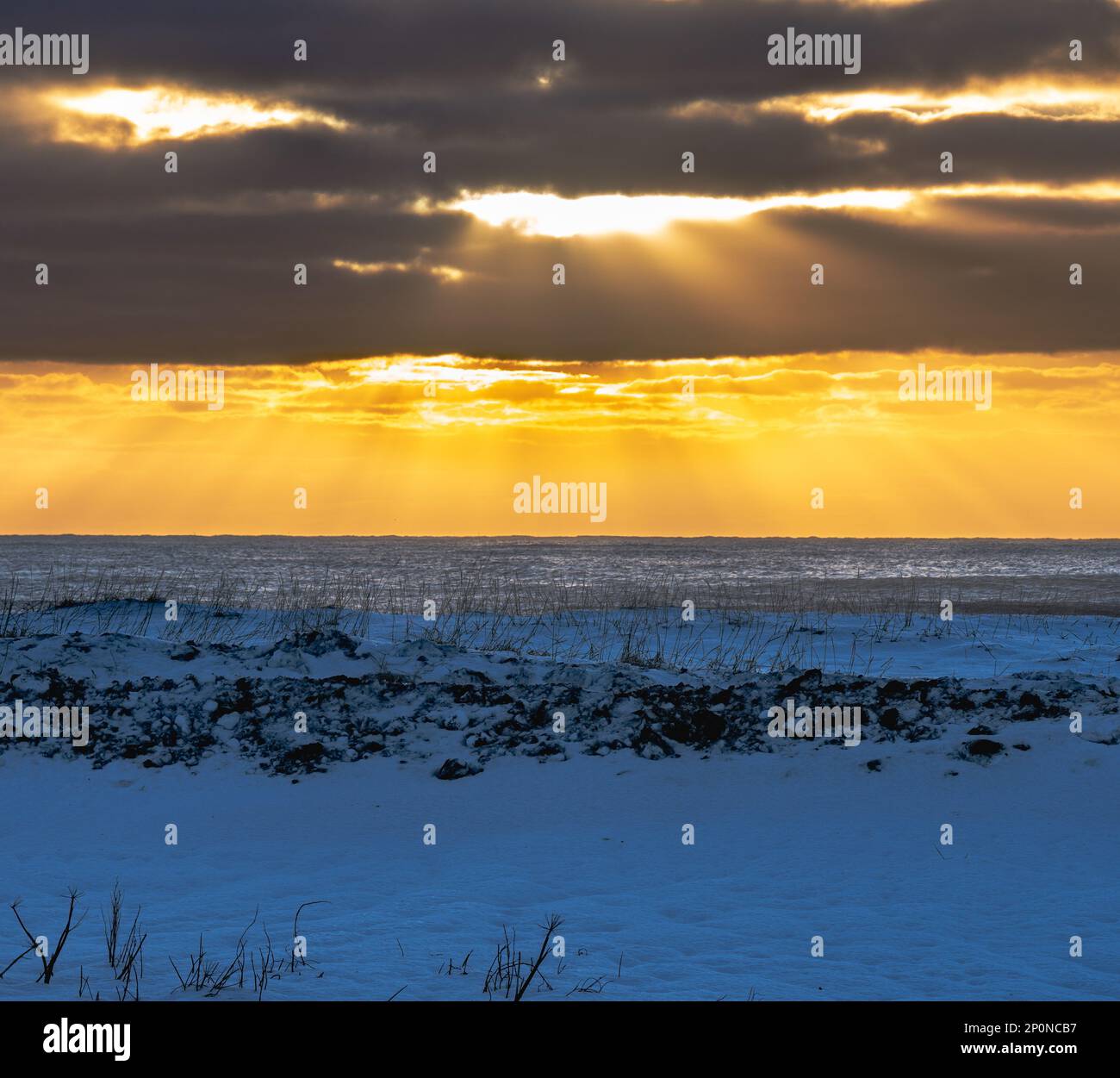 Landscape of the beach area Black sand beach completely covered with ...