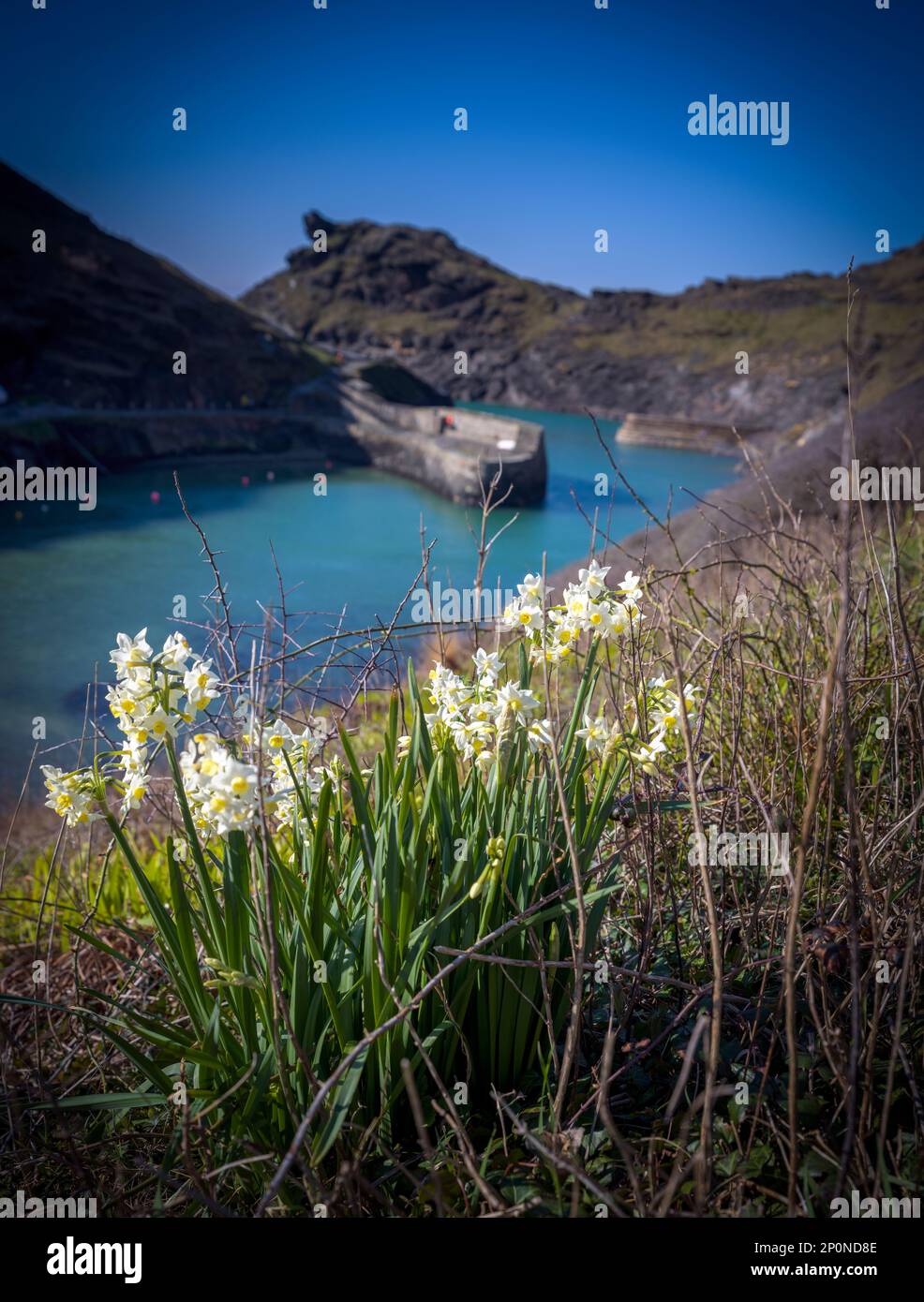 The Pretty seaside port of Boscastle in Cornwall Stock Photo - Alamy