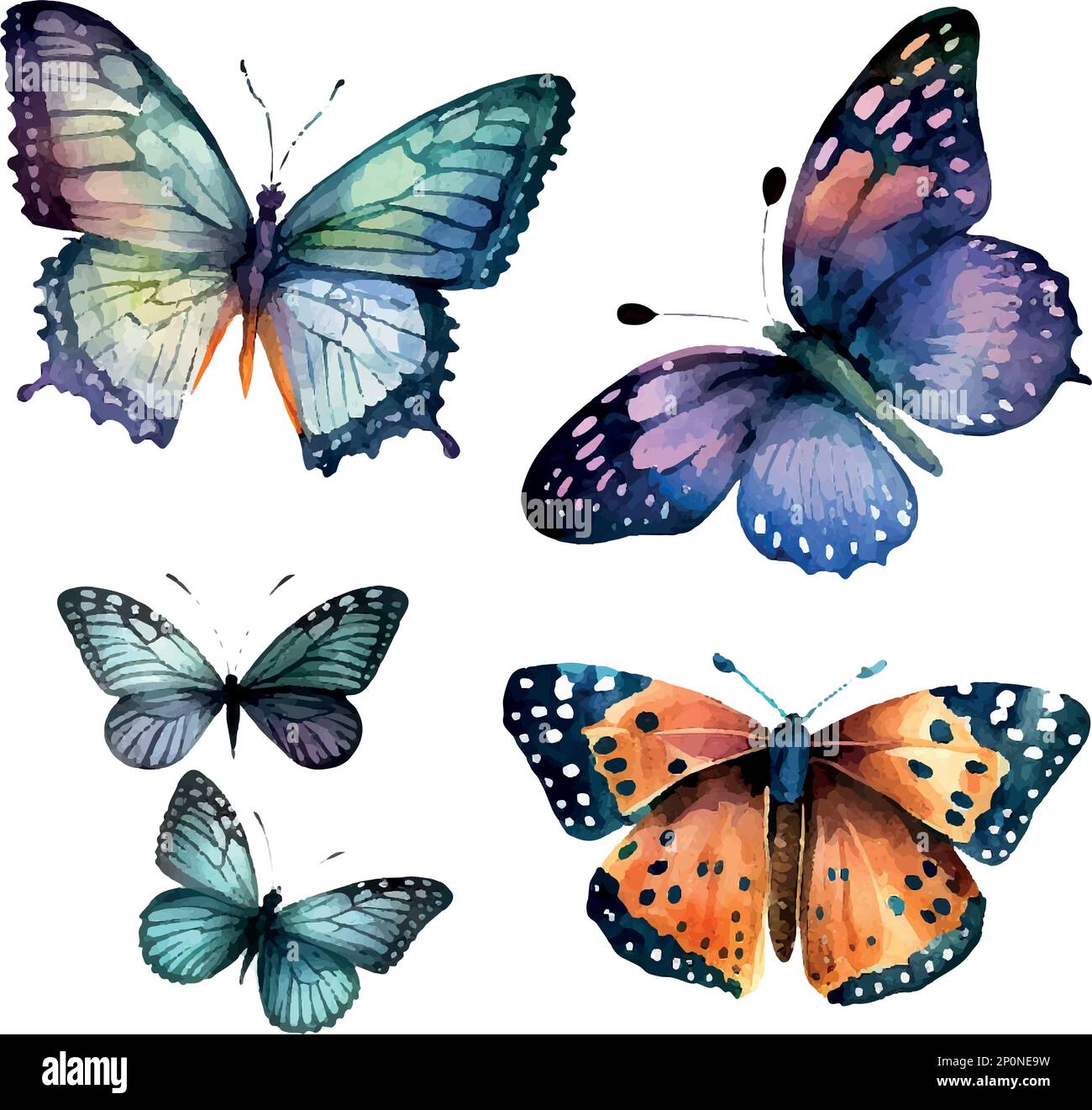 Black striped blue butterfly Stock Vector Images - Alamy