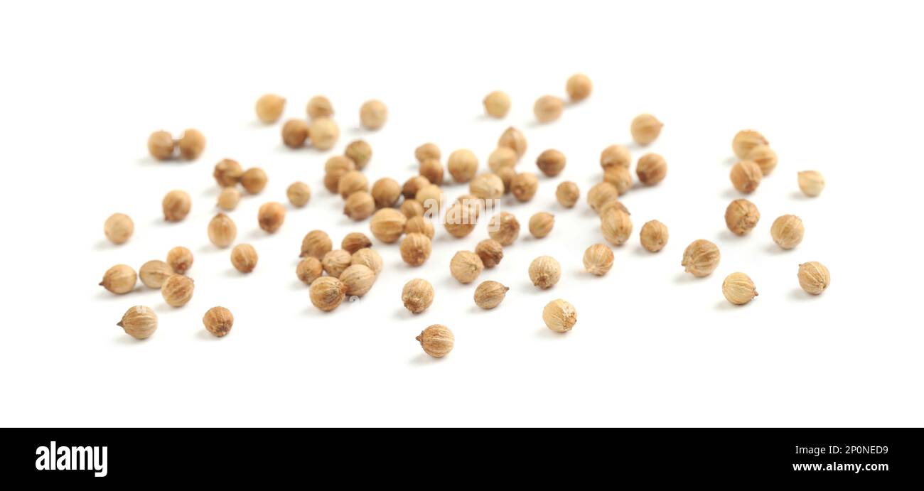 Scattered dried coriander seeds on white background Stock Photo - Alamy