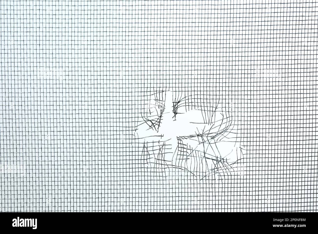 Torn window screen against white background, closeup Stock Photo - Alamy