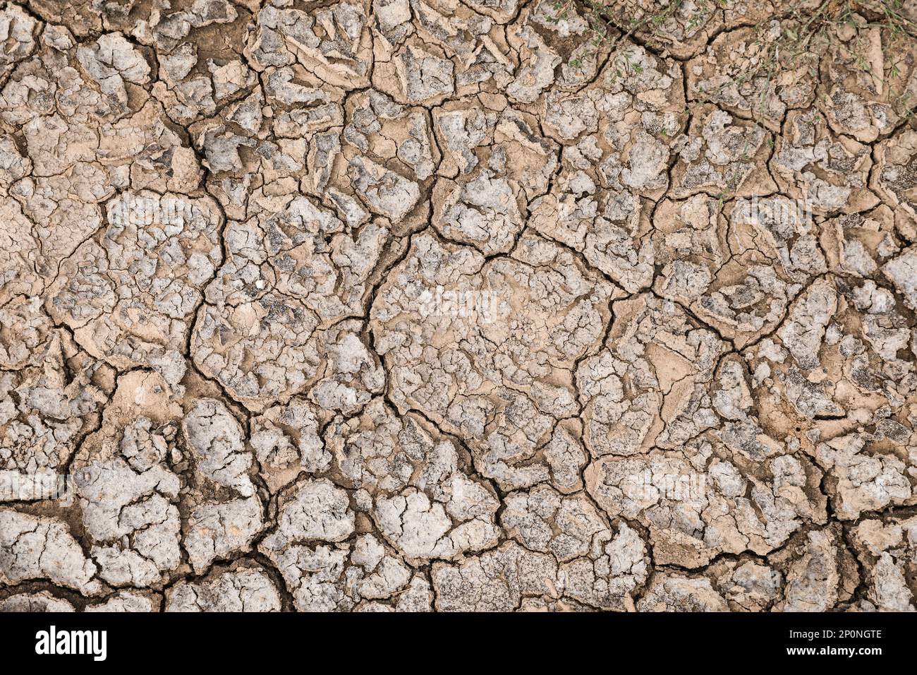 Dry textured ground surface as background, top view. Thirsty soil Stock ...