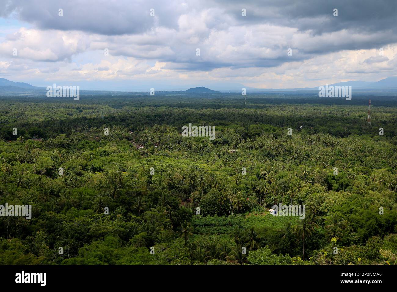 Forest in Yogyakarta, Indonesia seen from above Stock Photo - Alamy
