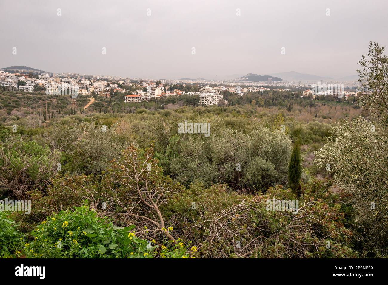 Athens, February 28th 2023: The outer suburbs of Athens Stock Photo - Alamy