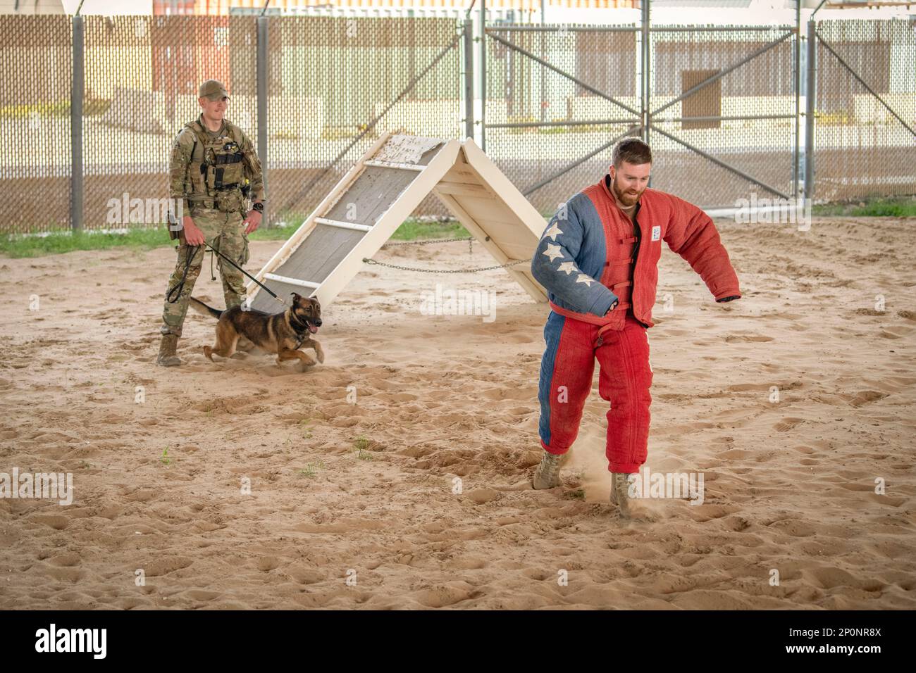 MCpl. Tylar Parsons, a Canadian Armed Forces member, runs from Military ...