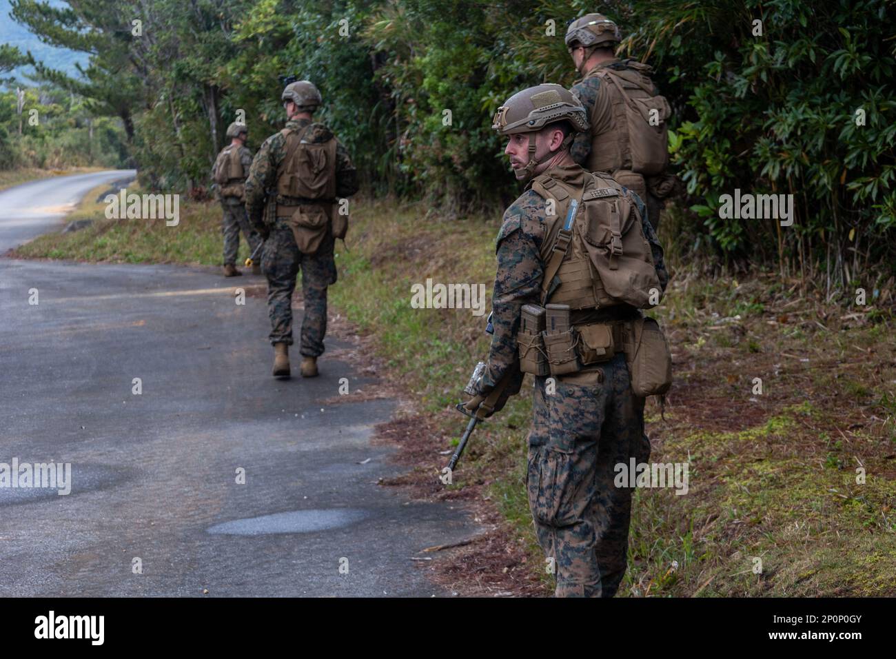 U.S. Marines with Battalion Landing Team 1/4, 31st Marine Expeditionary ...