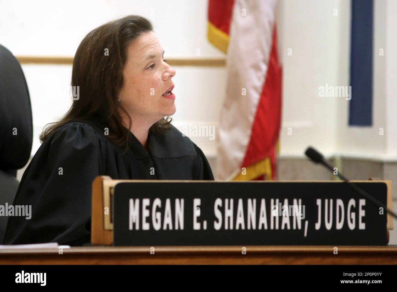 Common Pleas Judge Megan Shanahan speaks at the Hamilton County ...