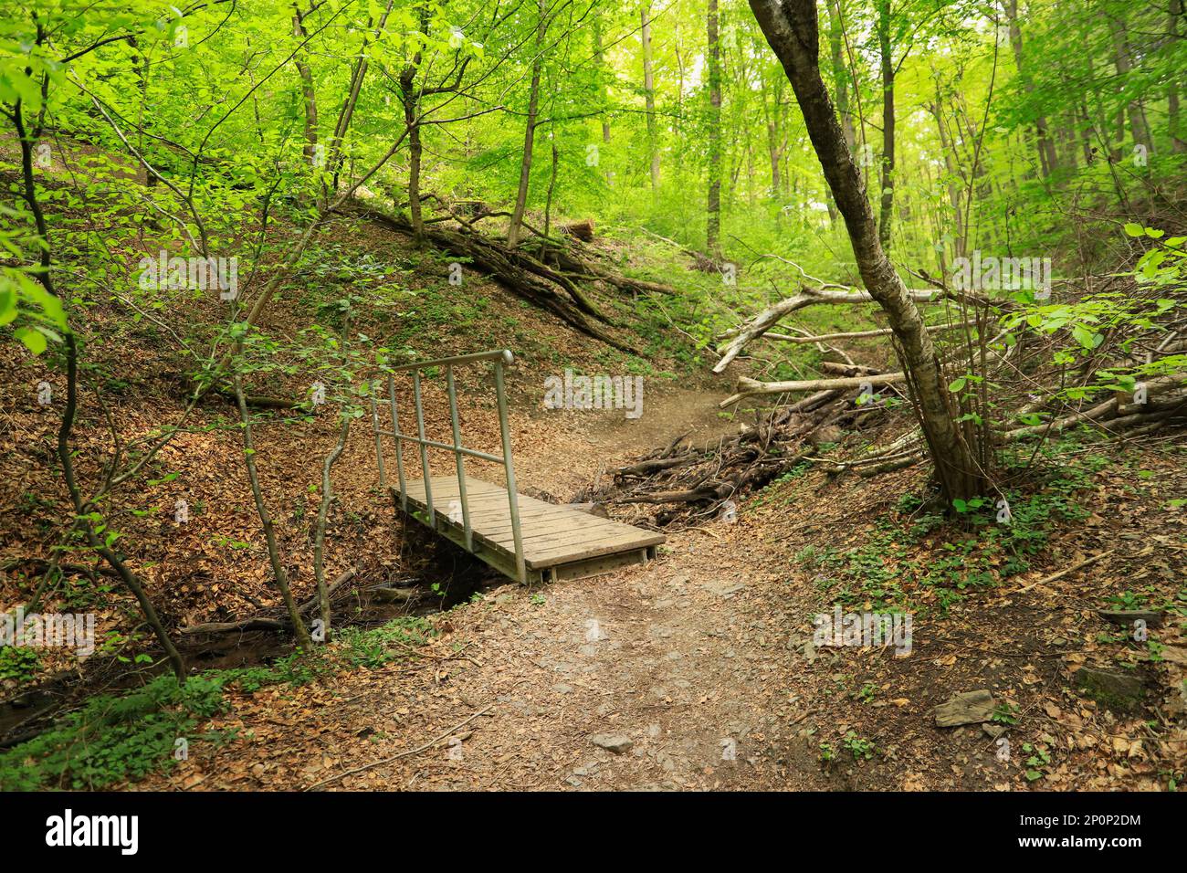 Lahnstein hi-res stock photography and images - Alamy