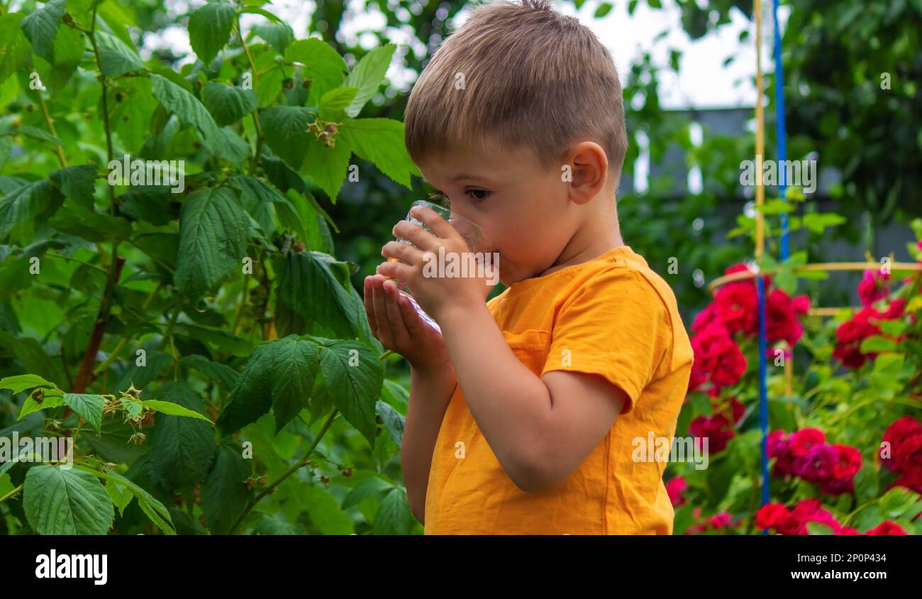The child drinks water from a glass. Selective focus. Kid Stock Photo - Alamy