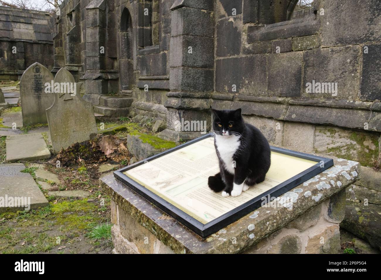 Heptonstall, West Yorkshire, UK. Ruins of the Church of St Thomas a ...