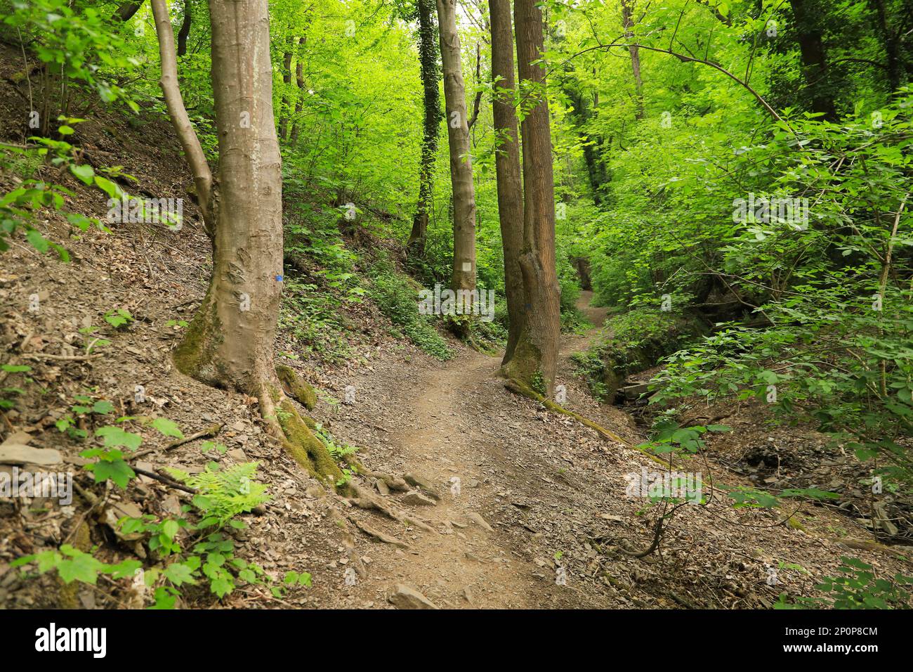 Lahnstein hi-res stock photography and images - Alamy