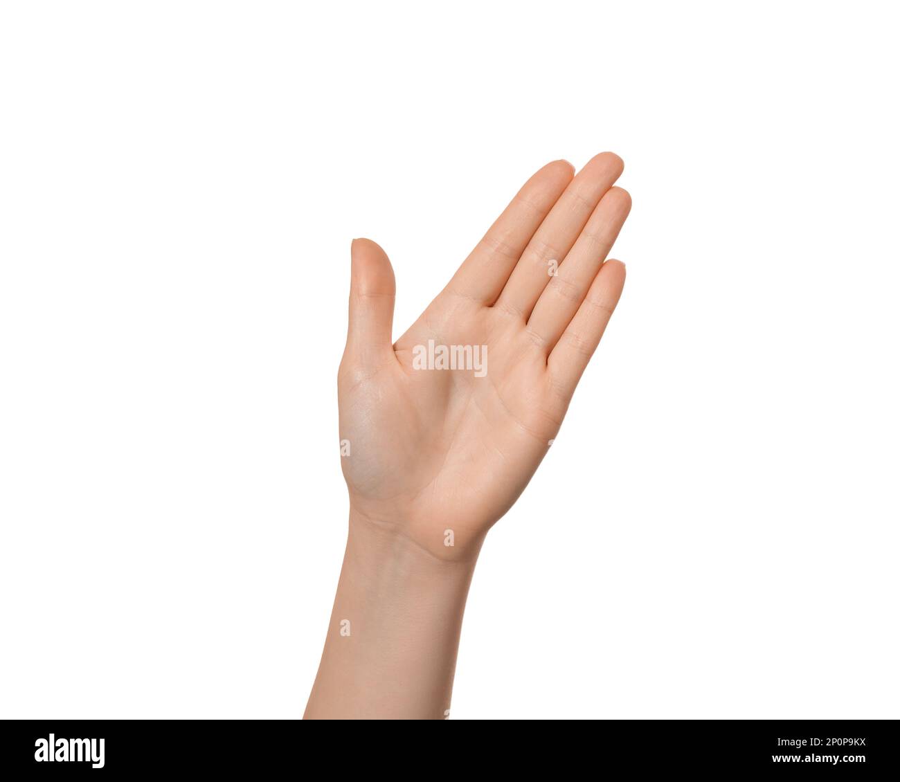 Female palm, isolate on white background Stock Photo - Alamy