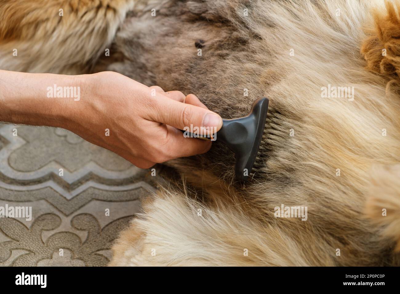 Shedding process hi-res stock photography and images - Alamy