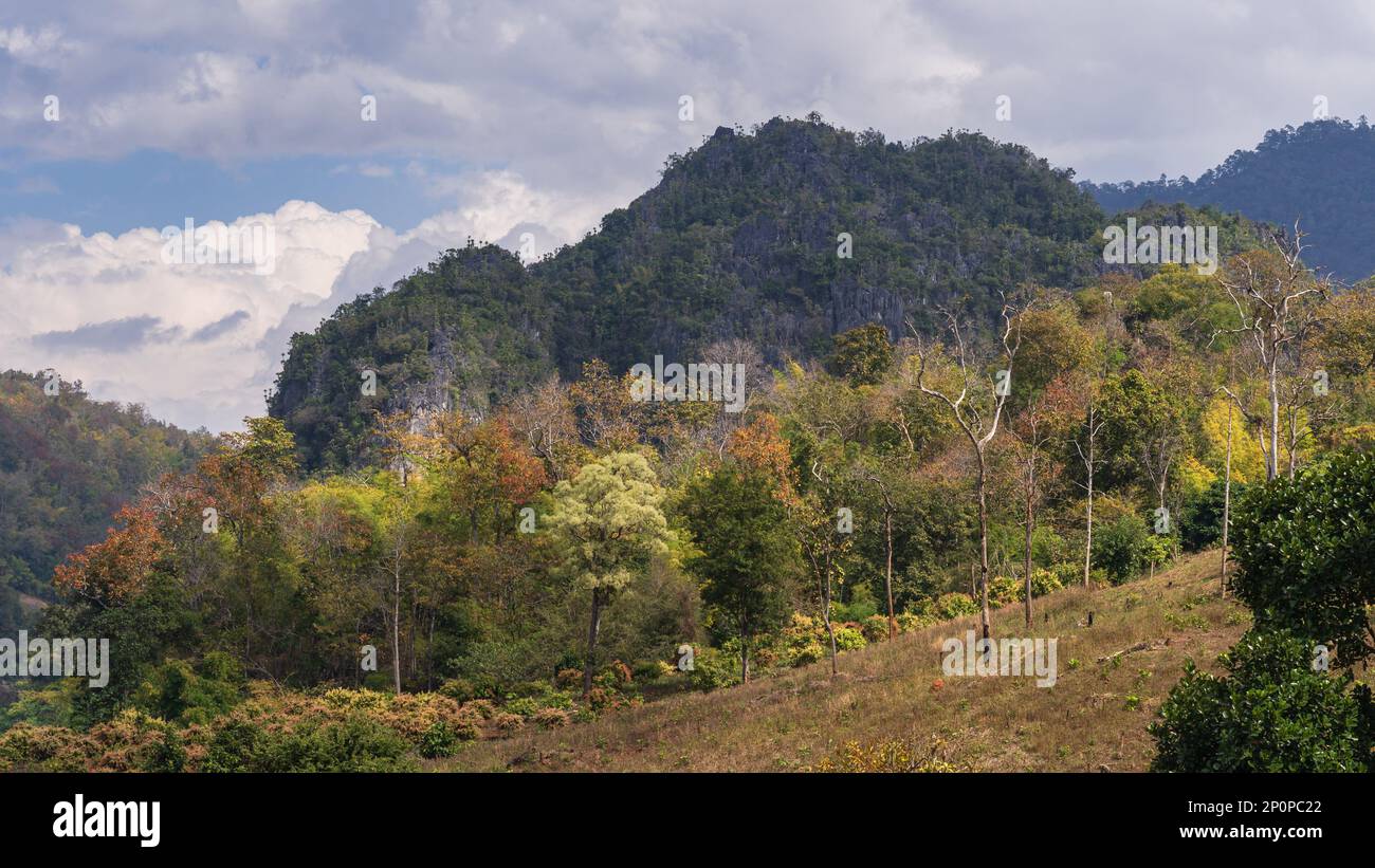 Summer trees limestone karst hi-res stock photography and images - Alamy