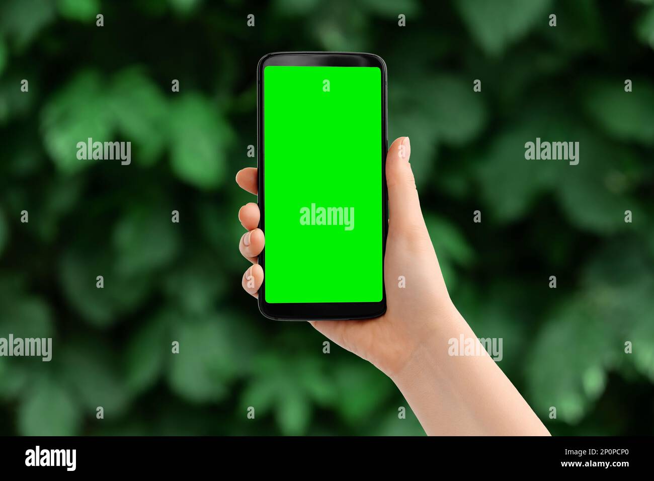 Hand with the phone upright against blurred greens. Smartphone with a ...