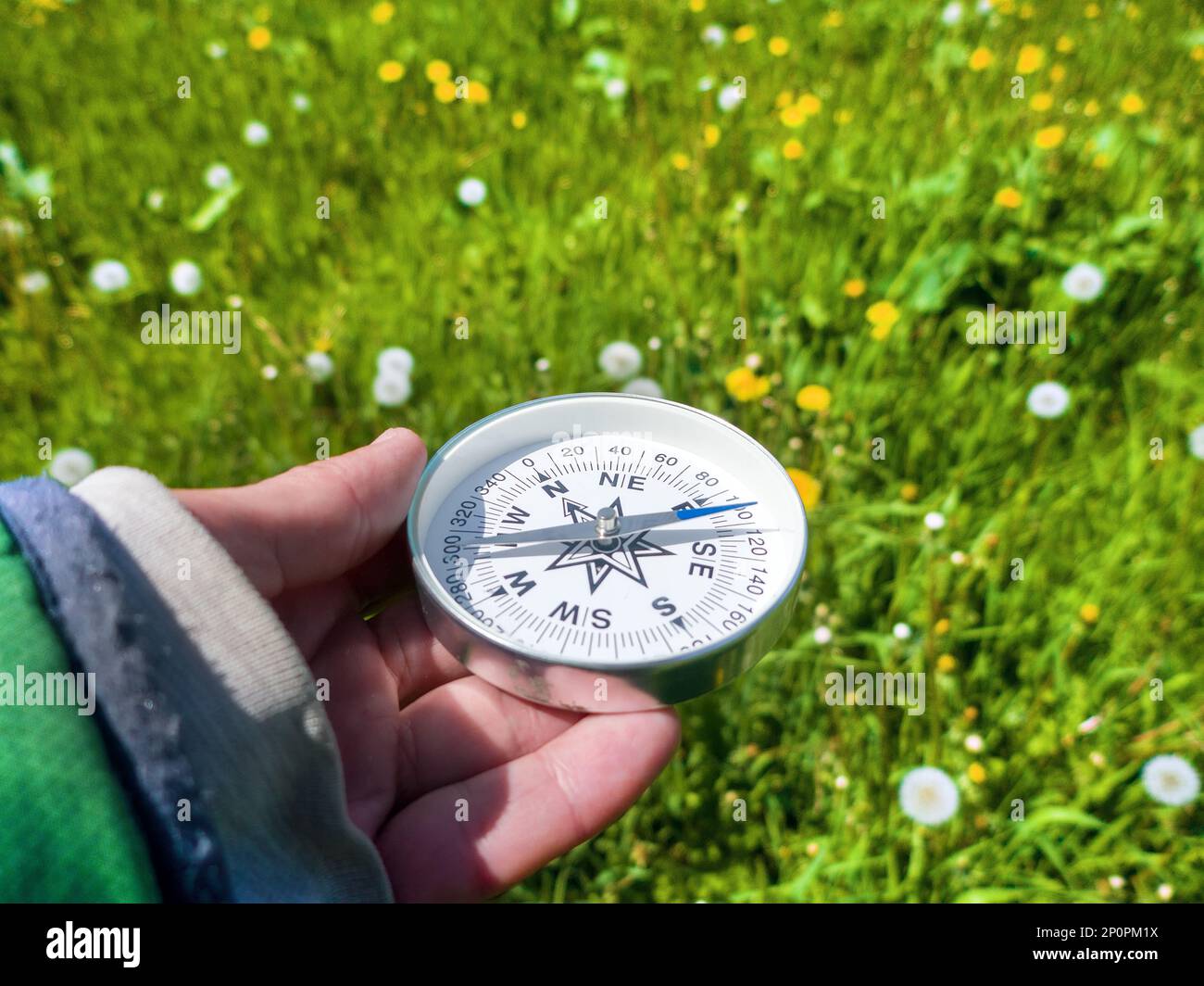 A compass in person's hand in park with flowers. Orient yourself in ...