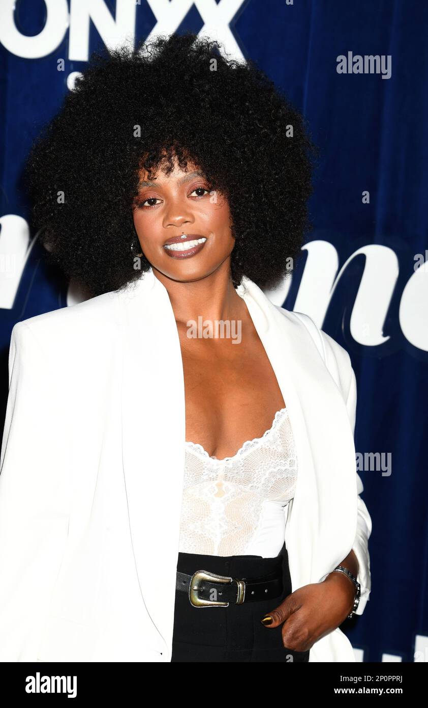 Hollywood, California, USA. 02nd Mar, 2023. Novi Brown attends the Los ...