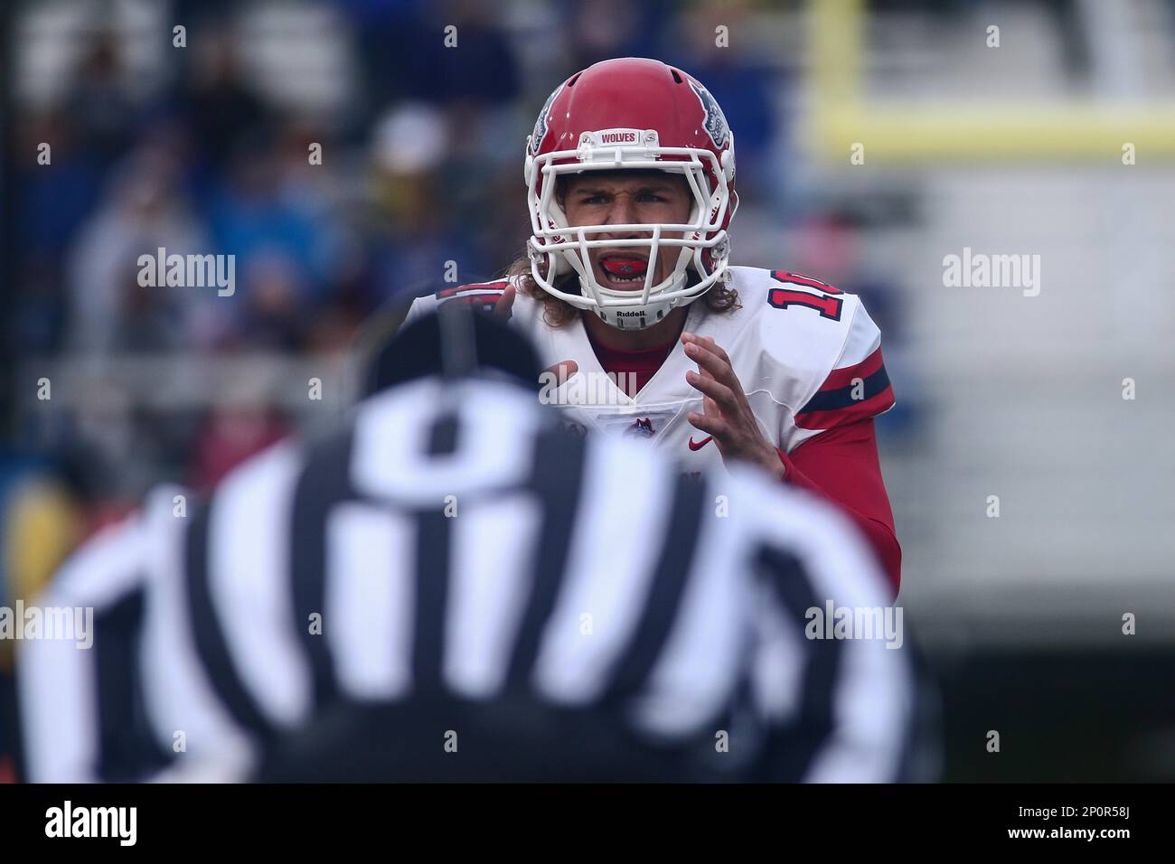 October 22, 2016 - Newark, Delaware, U.S - Stony Brook quarterback JOE ...
