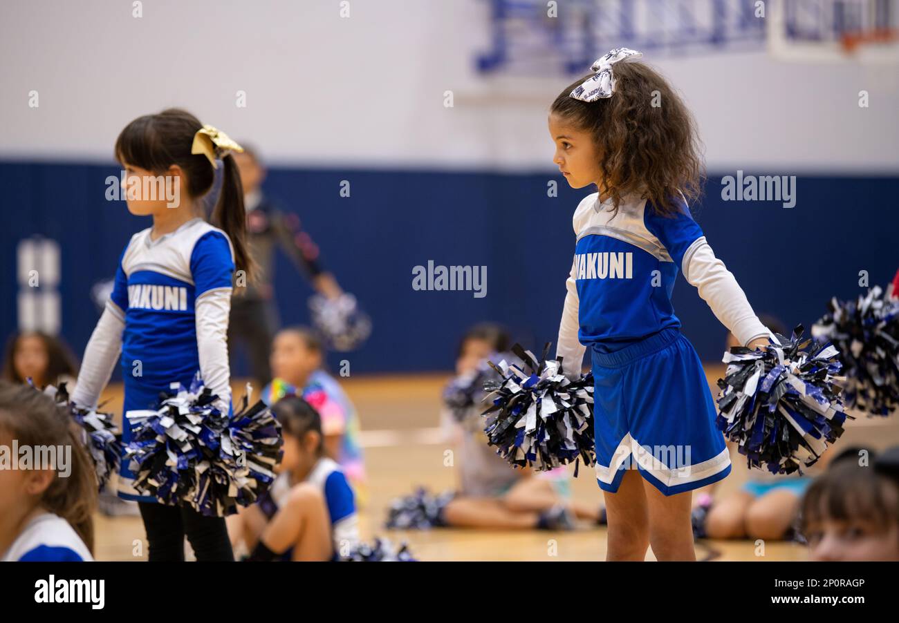 Blitz The League Cheerleaders