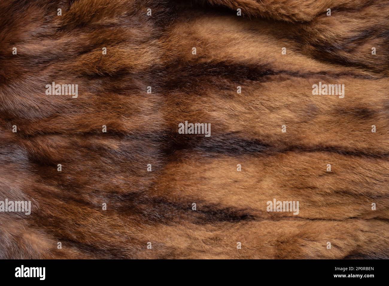 Brown fur coat texture, abstract animal skin pattern, close up Stock ...