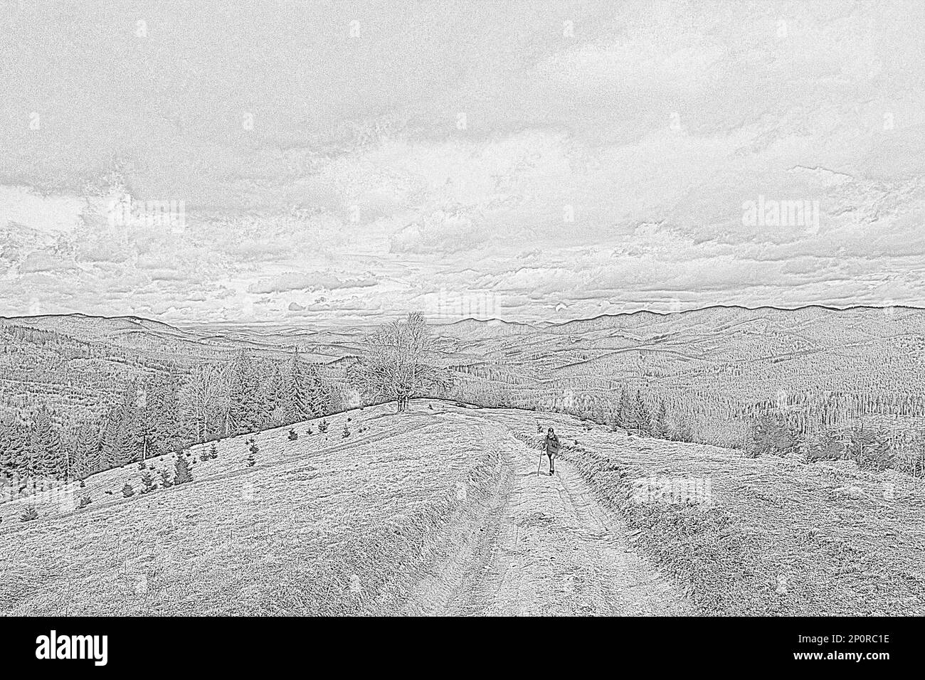 Hiking along steep slope to overgrown tree engraving hand drawn sketch ...