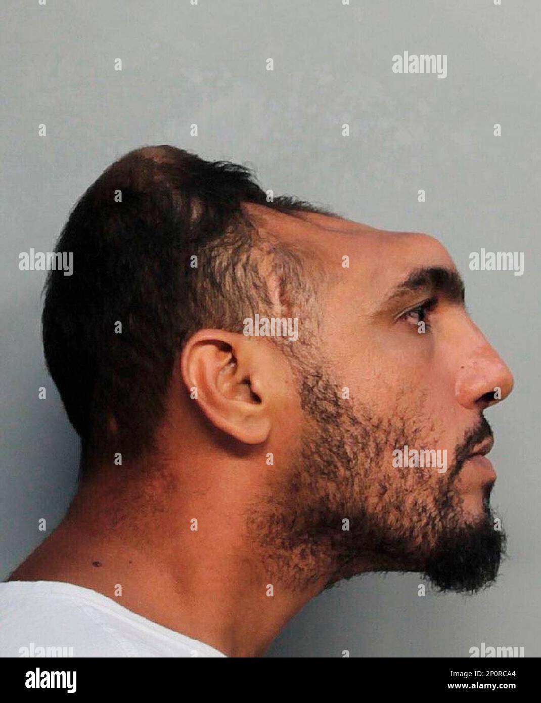 This Monday, Oct. 17, 2016, photo provided by the Miami-Dade ...