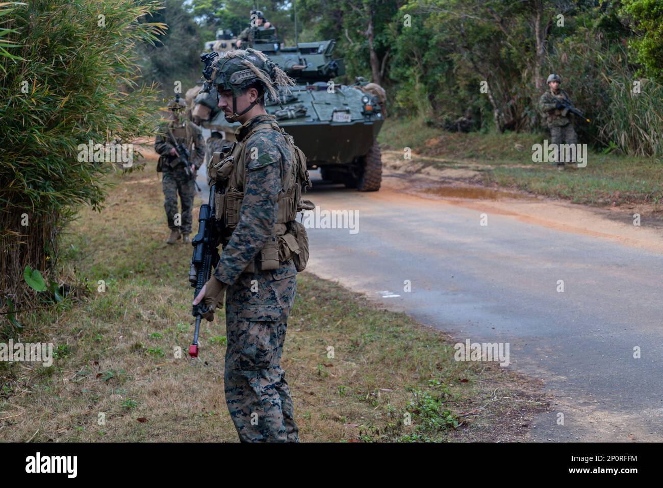 U.S. Marines with Battalion Landing Team 1/4, 31st Marine Expeditionary ...