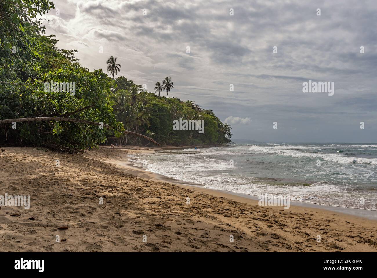 Caribbean beach near Puerto Viejo, Costa Rica Stock Photo - Alamy