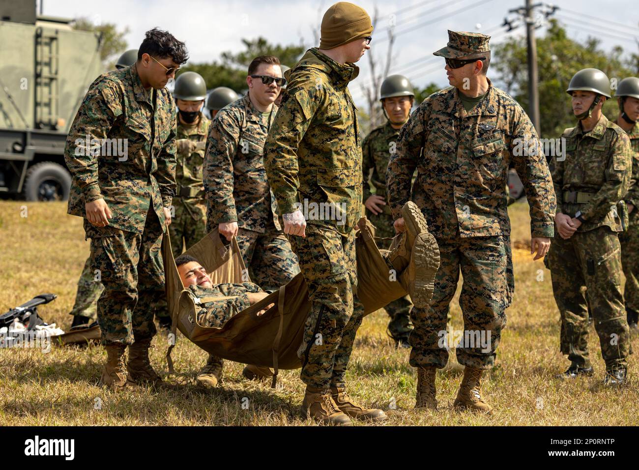 U.S. Navy Corpsman carry a simulated casualty during Jungle Warfare ...