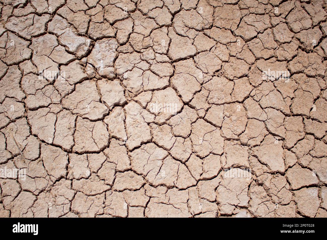 Dry soil texture visible cracks from drought conditions Stock Photo - Alamy